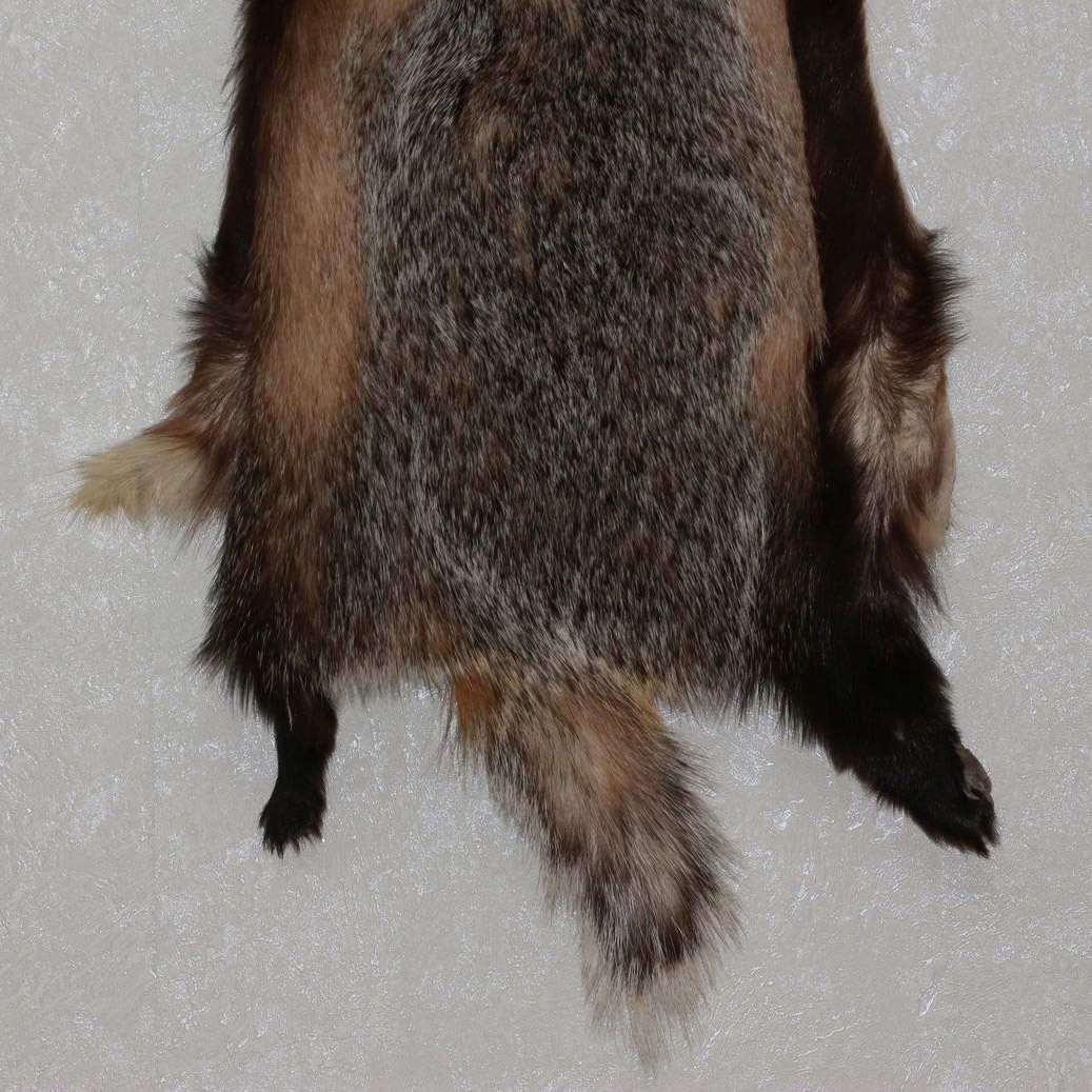 EURASIAN BADGER TAXIDERMY TANNED FUR PELT - SKIN, HIDE FOR SALE - REAL ...