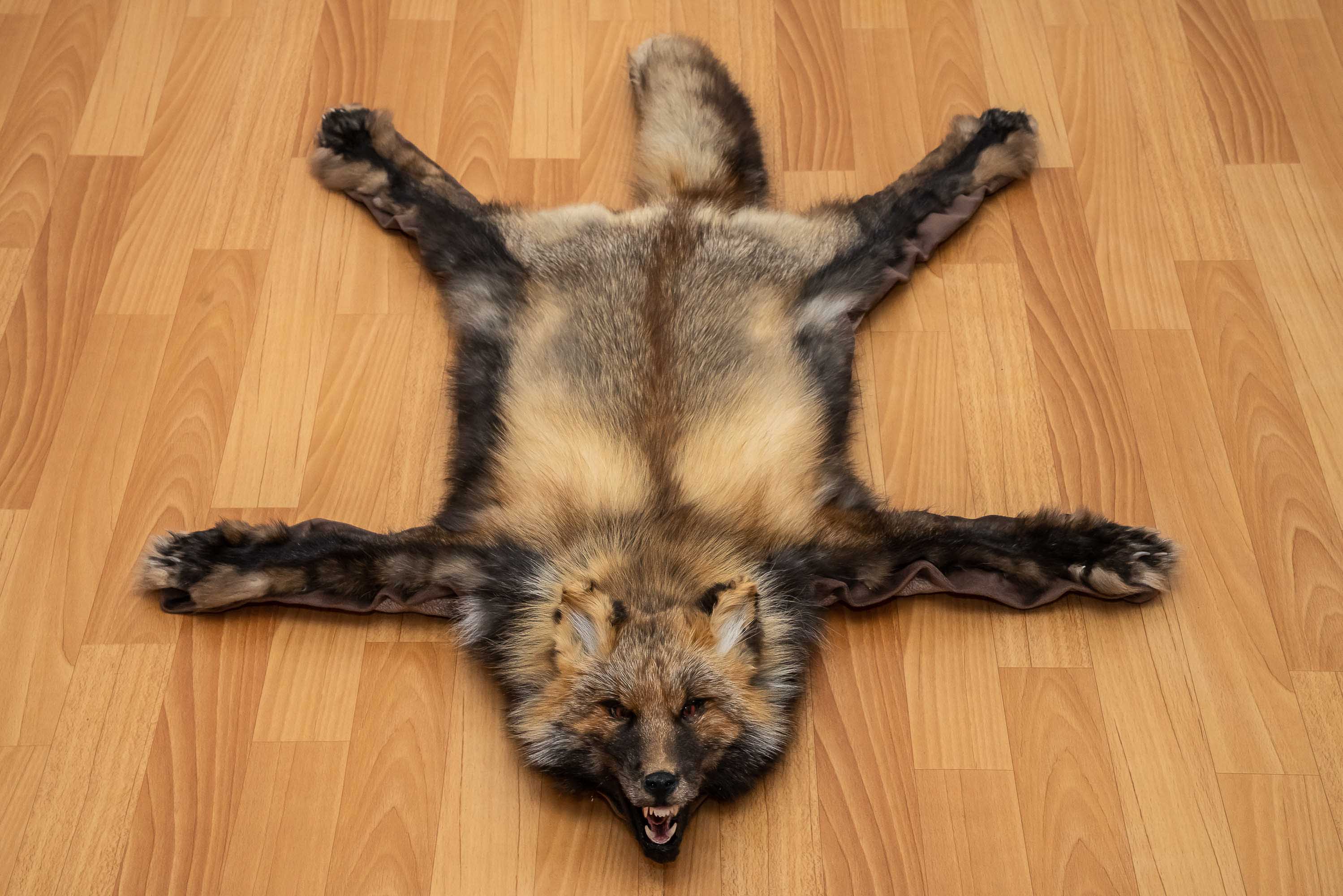 SIBERIAN RED FOX TAXIDERMY RUG MOUNT WITH HEAD - MOUNTED PELT, FUR ...