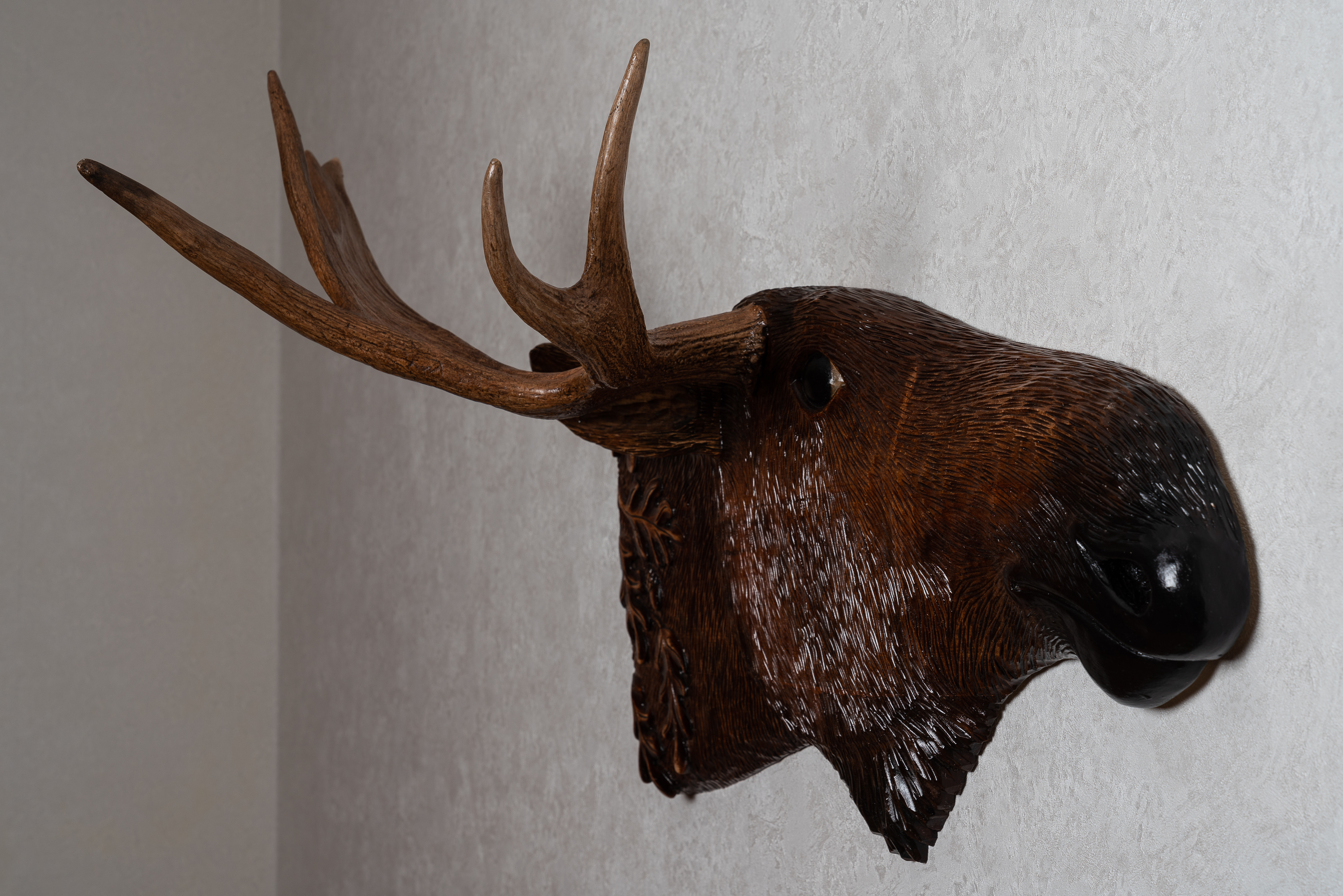 MOOSE TAXIDERMY ANTLER MOUNT - MOUNTED ANTLER, HORN, SKULL FOR SALE ...