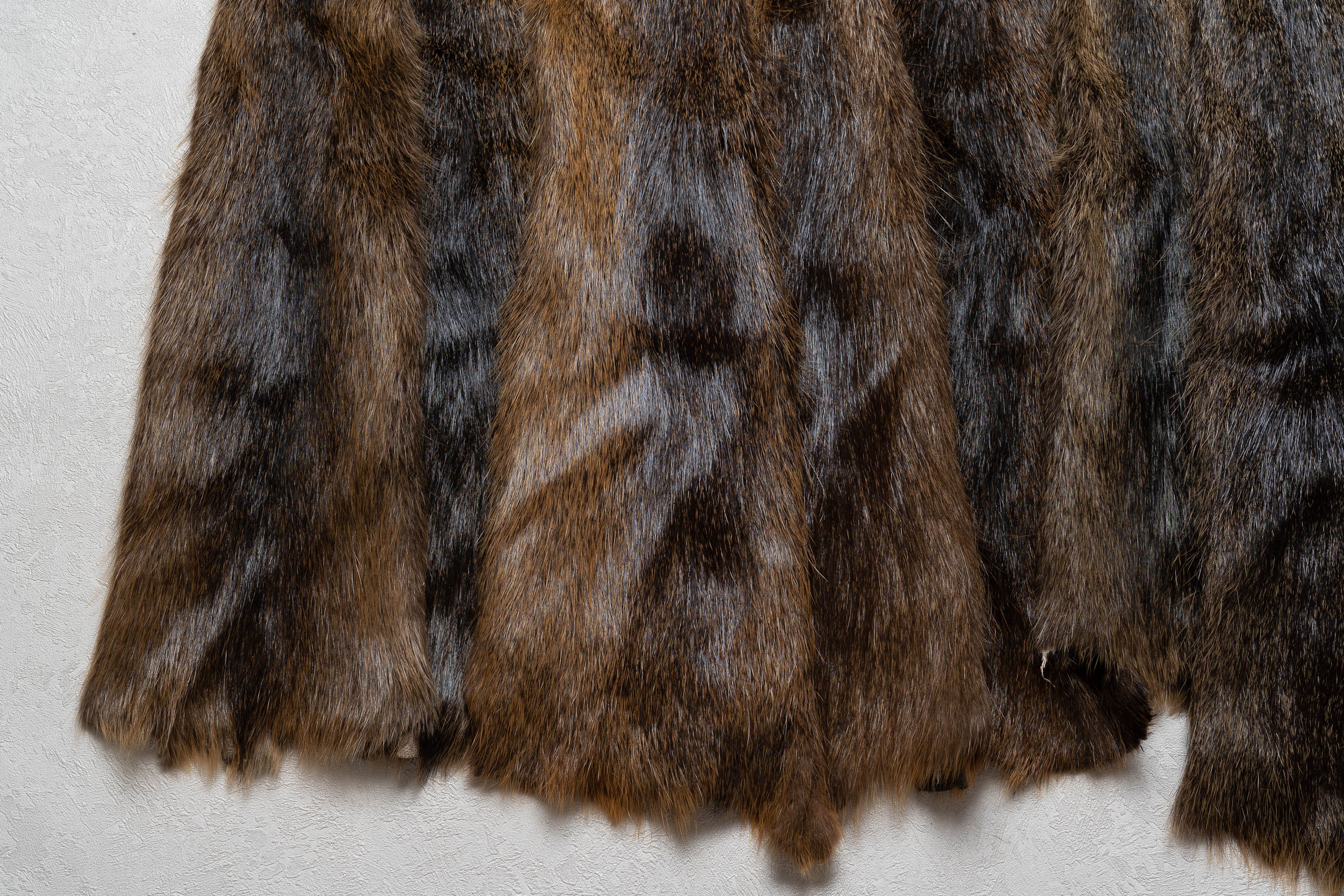 NUTRIA , COYPU LOT OF 9 TANNED FUR PELTS - SKIN, HIDE FOR SALE - REAL ...