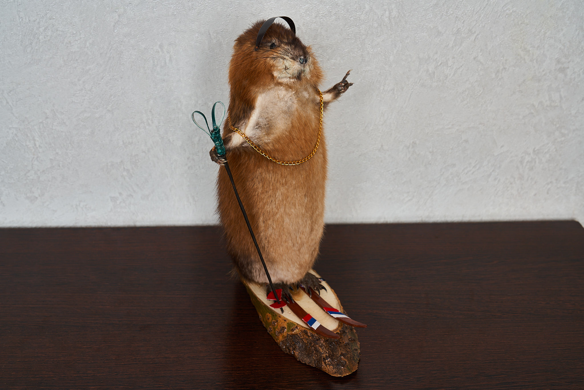 SMALL BEAVER TAXIDERMY MOUNT - MOUNTED, STUFFED ANIMALS FOR SALE - REAL ...