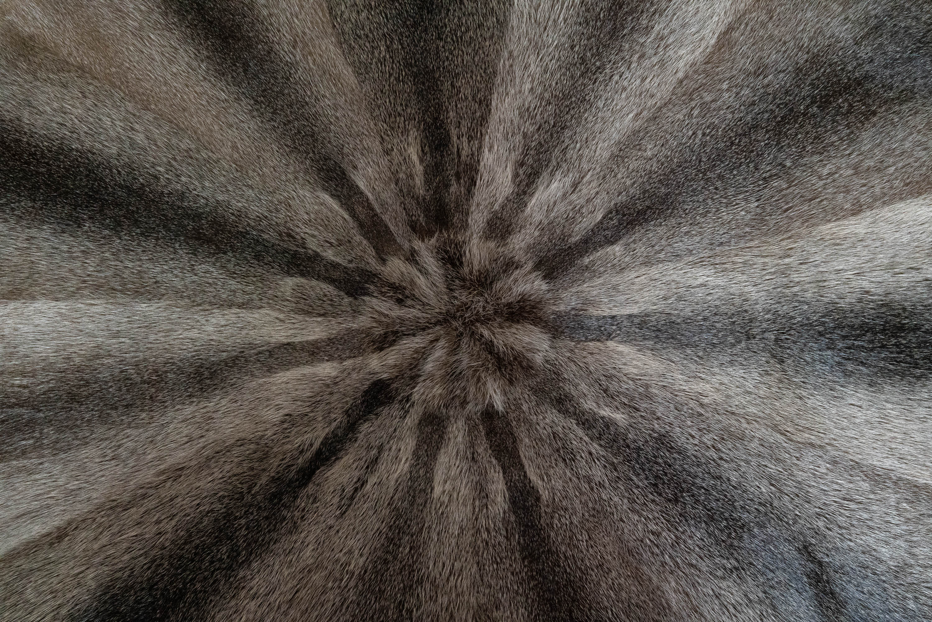 NUTRIA , COYPU REAL GENUINE FUR CARPET, RUG, THROW - NATURAL FUR COVER ...