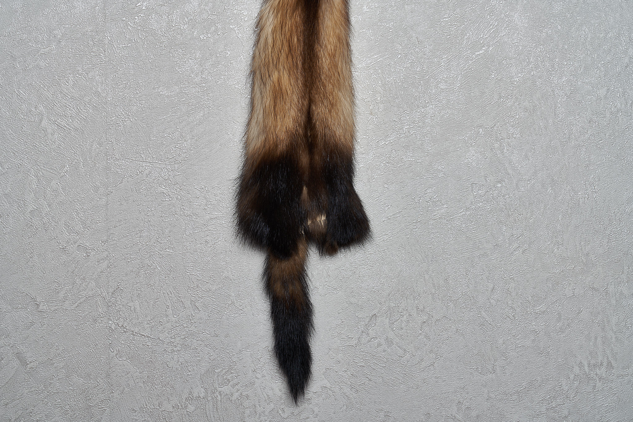 EUROPEAN POLECAT TANNED FUR PELT - FERRET, WEASEL SKIN, HIDE FOR SALE ...