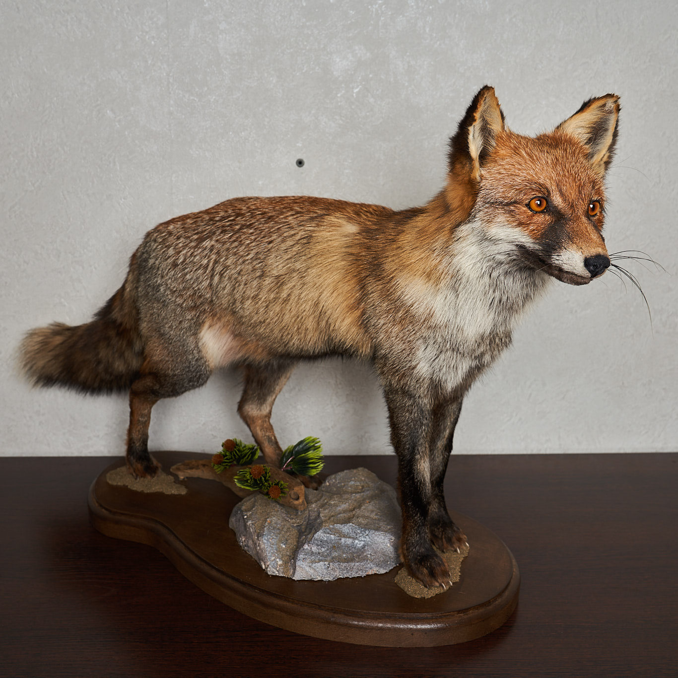 SIBERIAN CROSS FOX TAXIDERMY MOUNT - MOUNTED, STUFFED ANIMALS FOR SALE ...