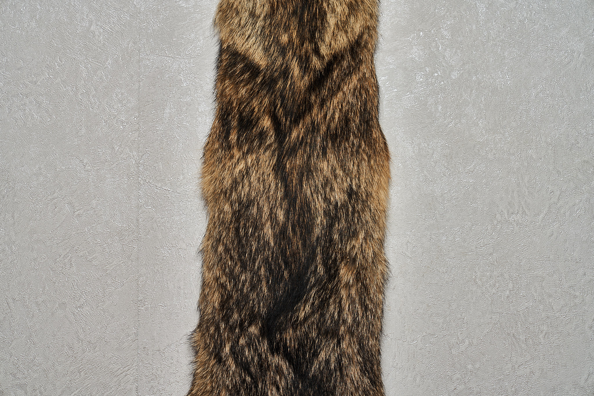 GOLDEN JACKAL TANNED FUR PELT - COYOTE SKIN, HIDE FOR SALE - REAL ...