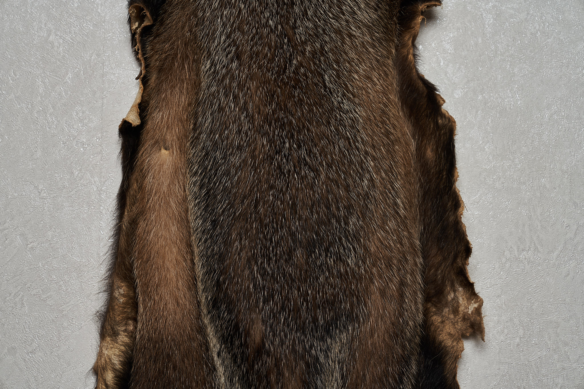 EURASIAN BADGER TANNED FUR PELT - SKIN, HIDE FOR SALE - REAL, DECOR ...