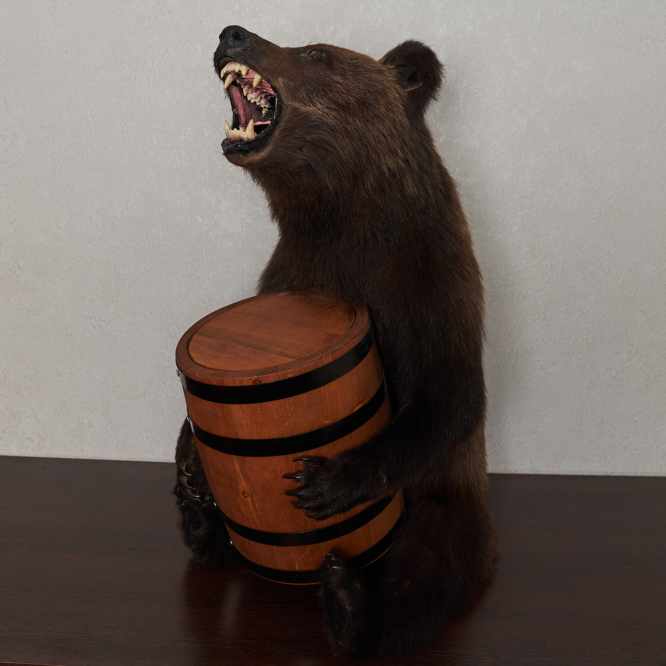 SMALL SIBERIAN BROWN BEAR TAXIDERMY MOUNT - MOUNTED, STUFFED ANIMALS ...
