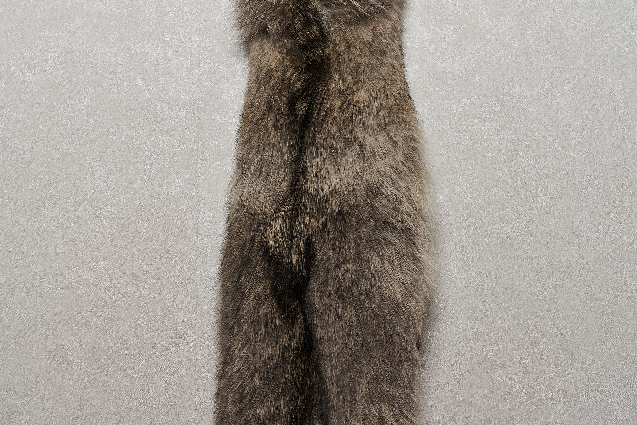 SIBERIAN GRAY WOLF TANNED FUR PELT - GREY WOLF SKIN, HIDE FOR SALE ...