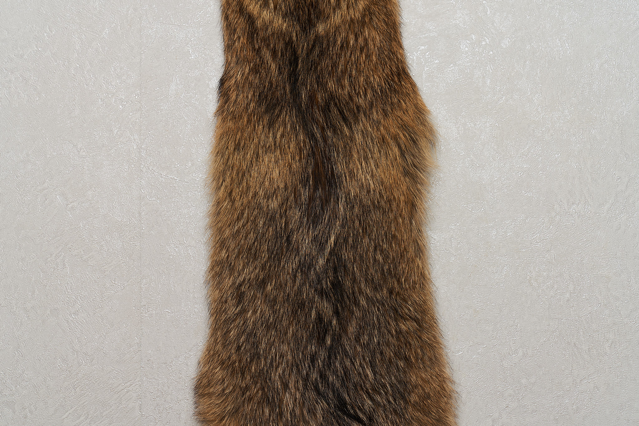 GOLDEN JACKAL TANNED FUR PELT - COYOTE SKIN, HIDE FOR SALE - REAL ...