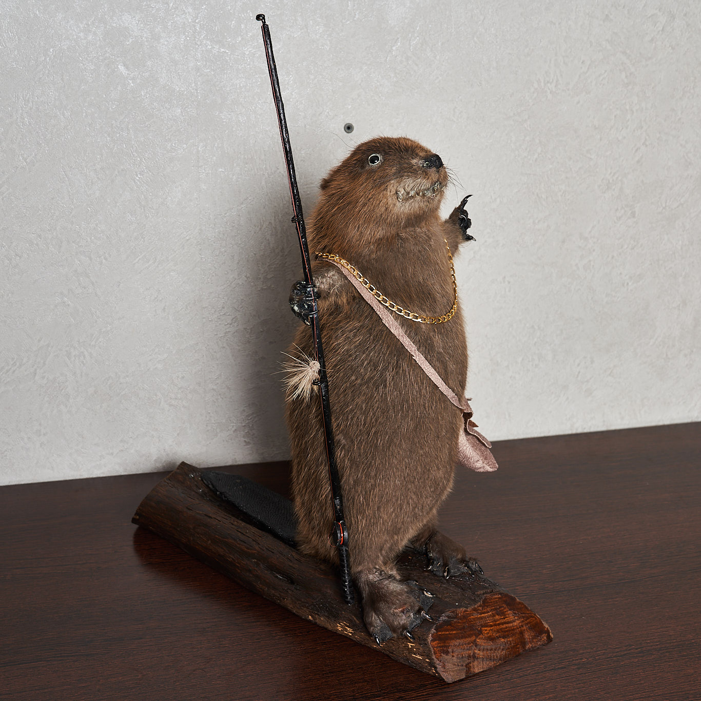 EURASIAN BEAVER TAXIDERMY MOUNT - MOUNTED, STUFFED ANIMALS FOR SALE ...