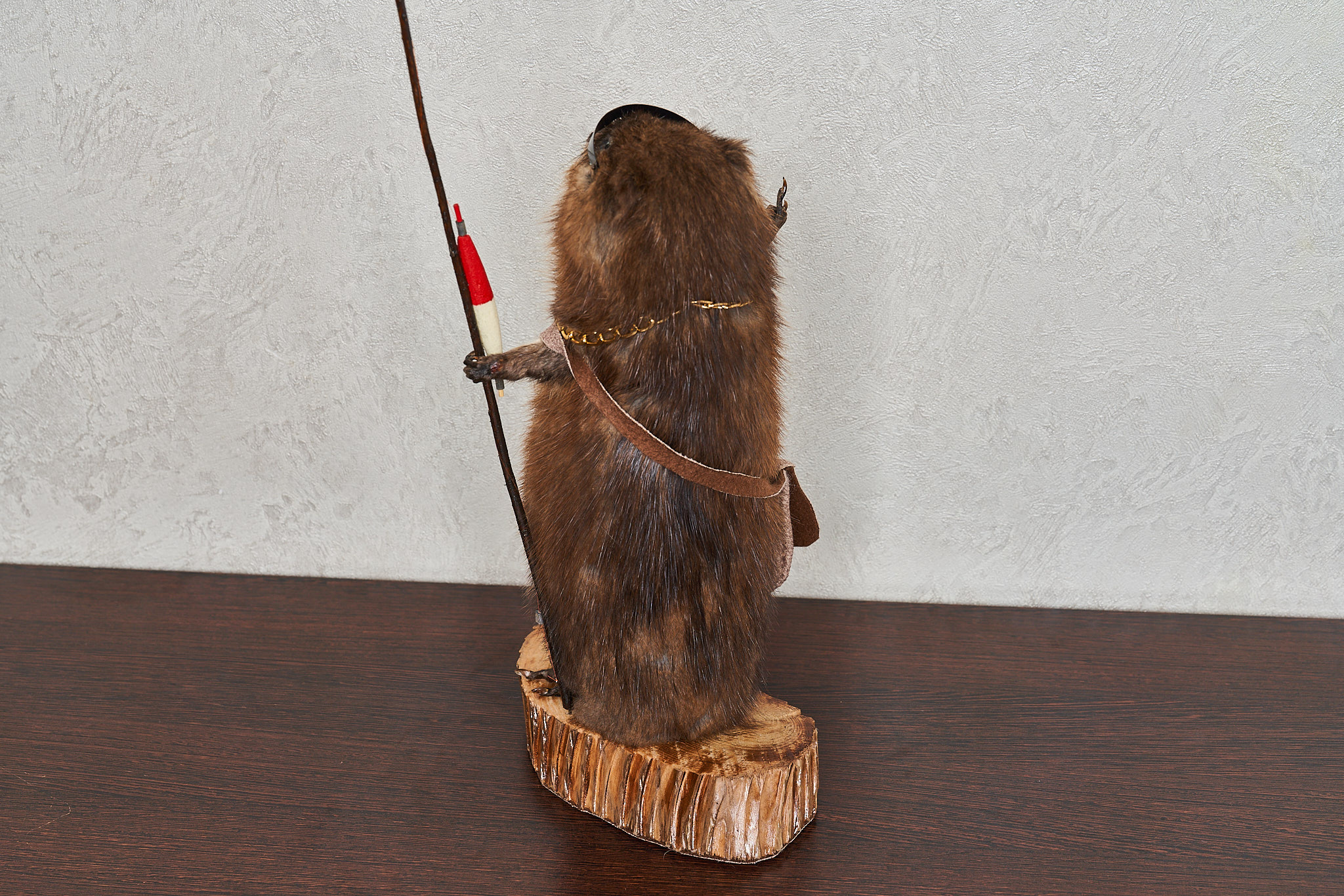 SMALL BEAVER TAXIDERMY MOUNT - MOUNTED, STUFFED ANIMALS FOR SALE - REAL ...