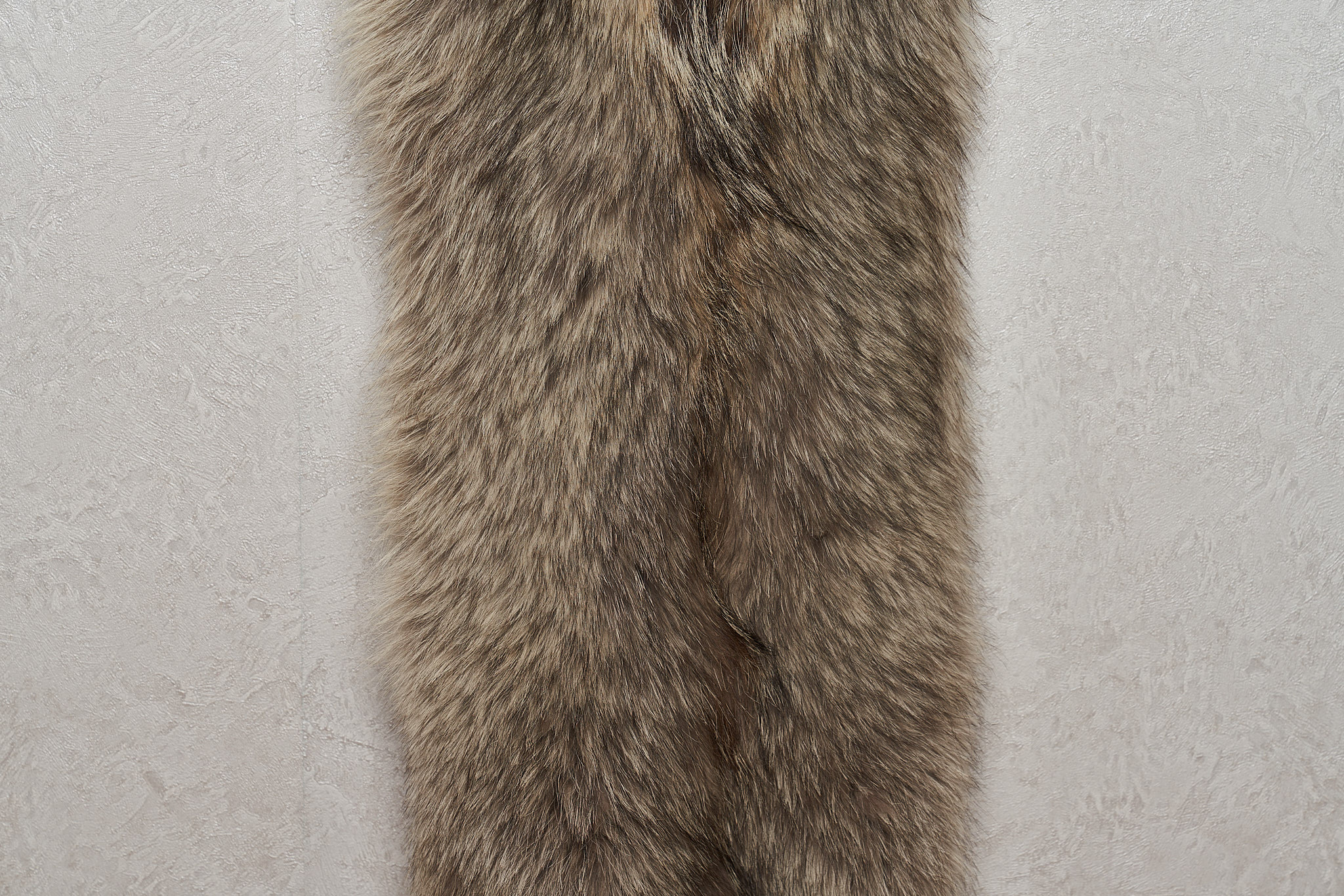 SIBERIAN GRAY WOLF TANNED FUR PELT - GREY WOLF SKIN, HIDE FOR SALE ...