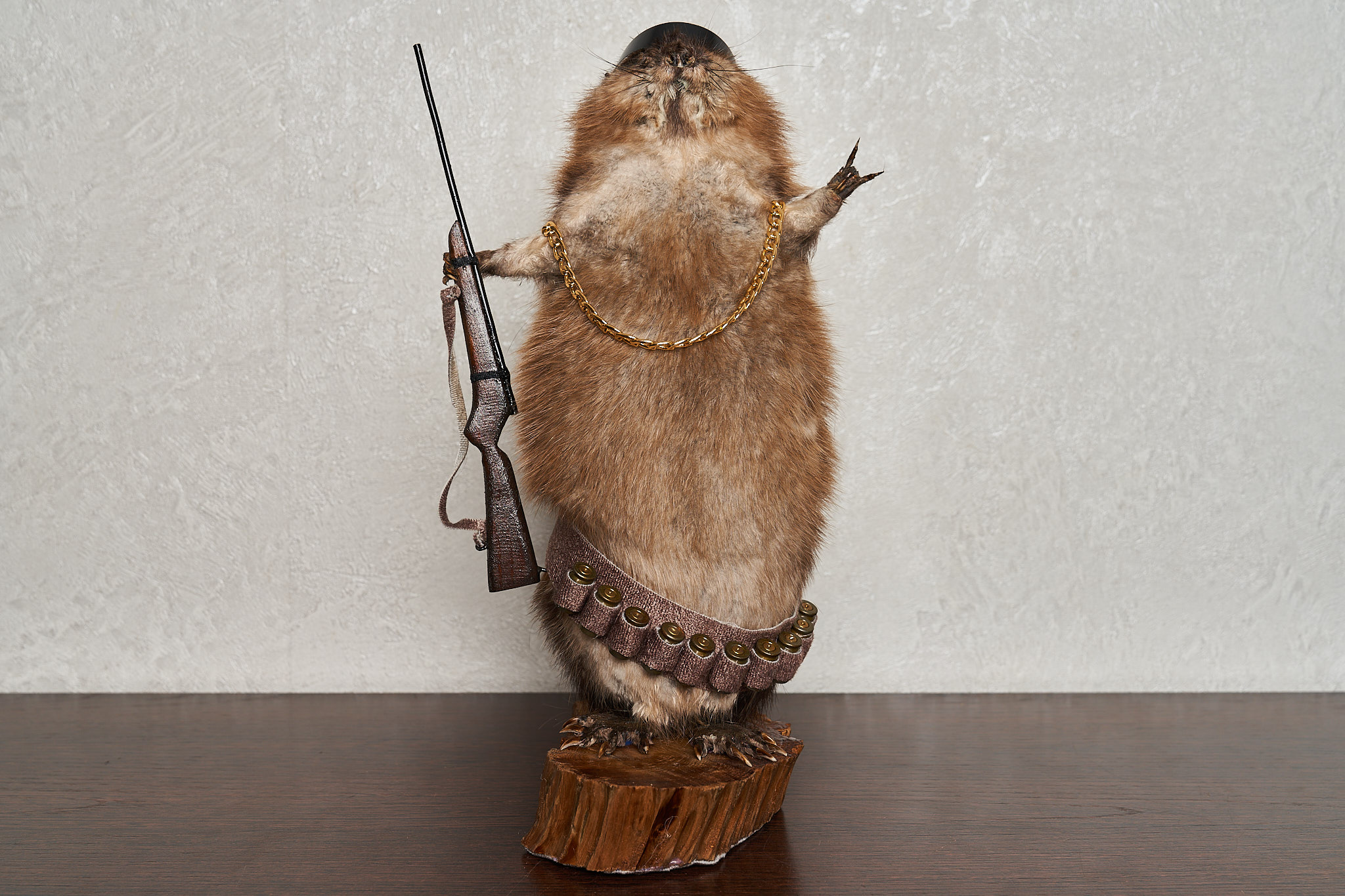 SMALL BEAVER TAXIDERMY MOUNT - MOUNTED, STUFFED ANIMALS FOR SALE - REAL ...