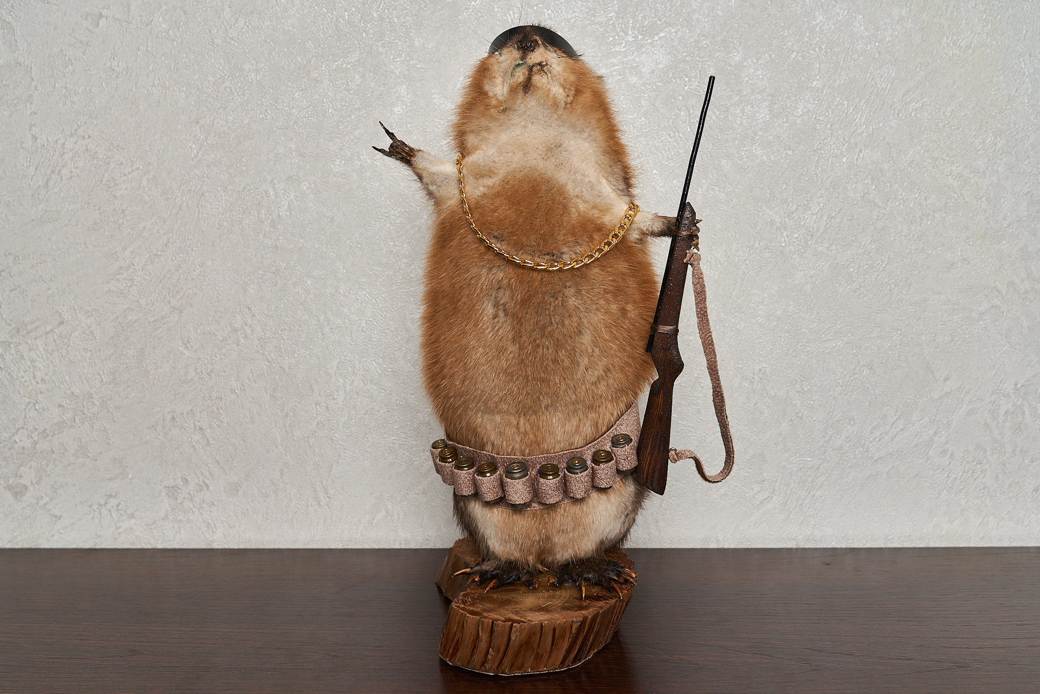 SMALL BEAVER TAXIDERMY MOUNT - MOUNTED, STUFFED ANIMALS FOR SALE - REAL ...