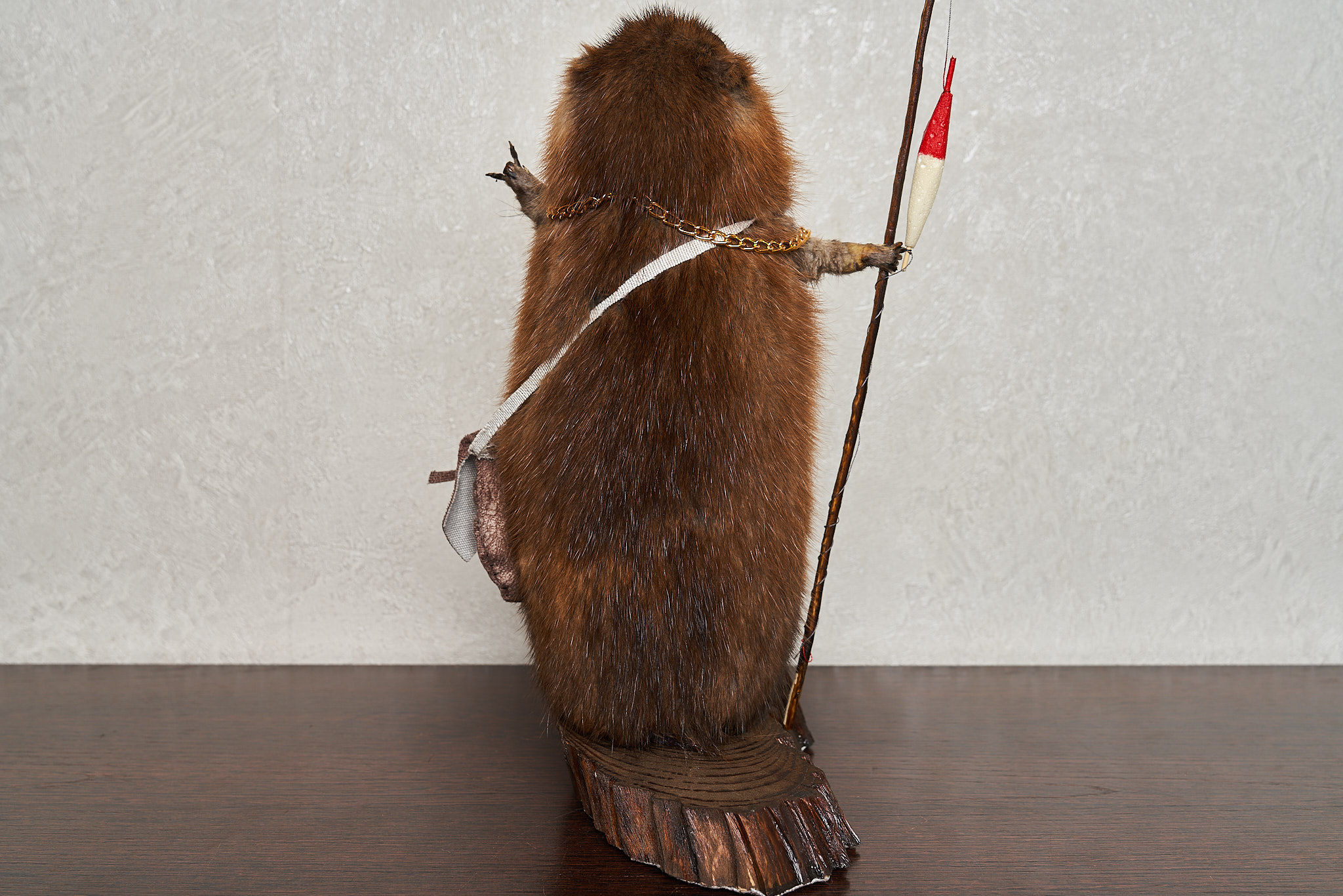 SMALL BEAVER TAXIDERMY MOUNT - MOUNTED, STUFFED ANIMALS FOR SALE - REAL ...