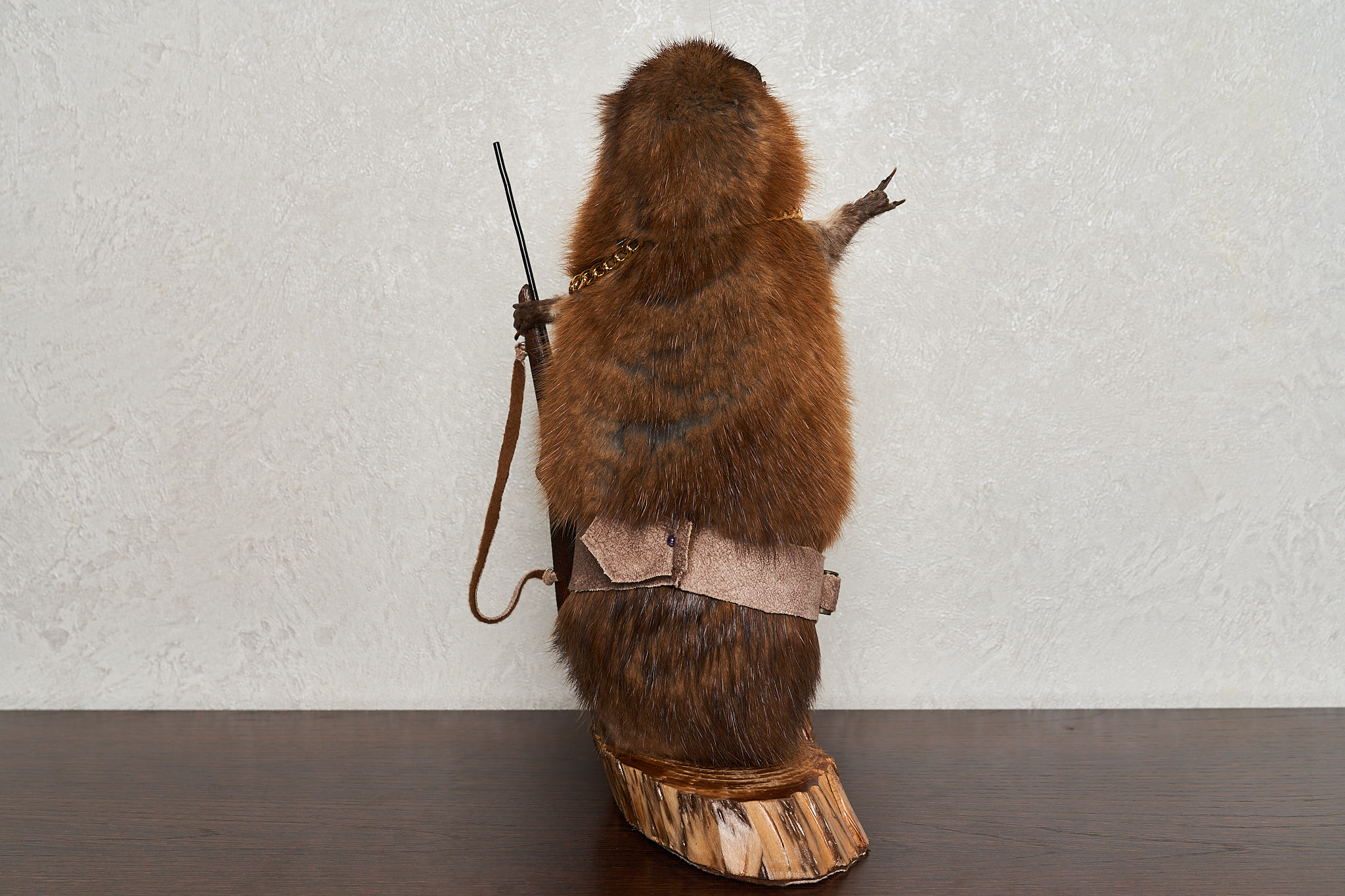 SMALL BEAVER TAXIDERMY MOUNT - MOUNTED, STUFFED ANIMALS FOR SALE - REAL ...