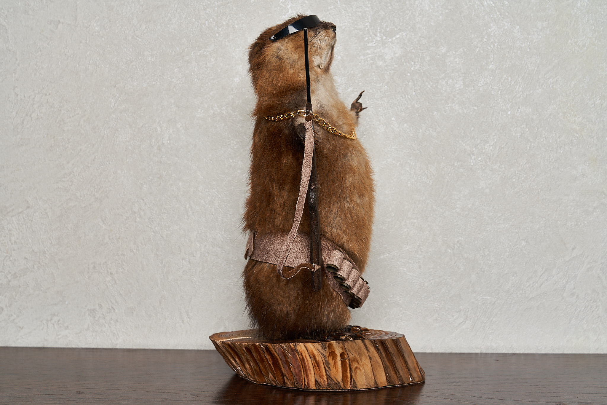 SMALL BEAVER TAXIDERMY MOUNT - MOUNTED, STUFFED ANIMALS FOR SALE - REAL ...