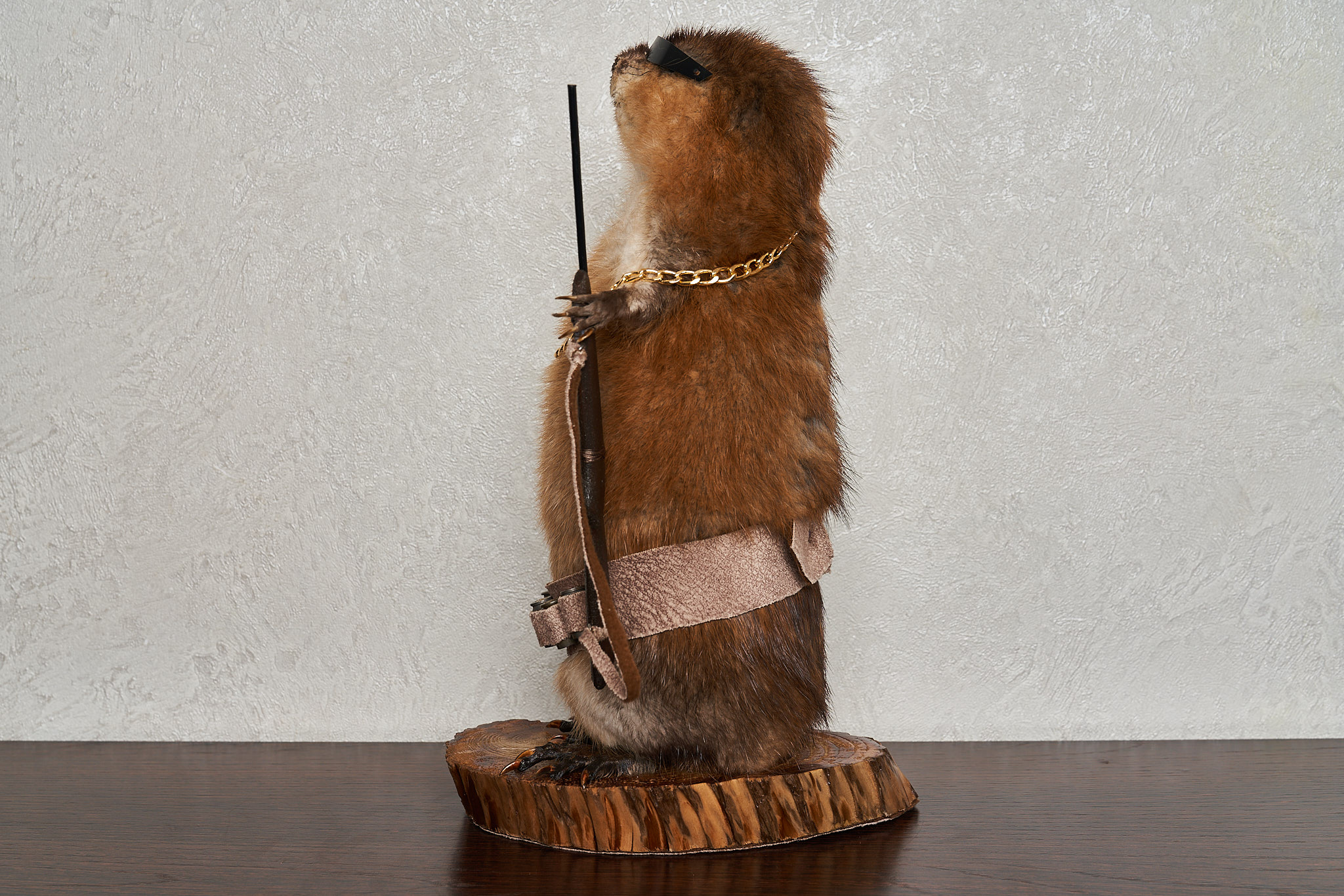SMALL BEAVER TAXIDERMY MOUNT - MOUNTED, STUFFED ANIMALS FOR SALE - REAL ...