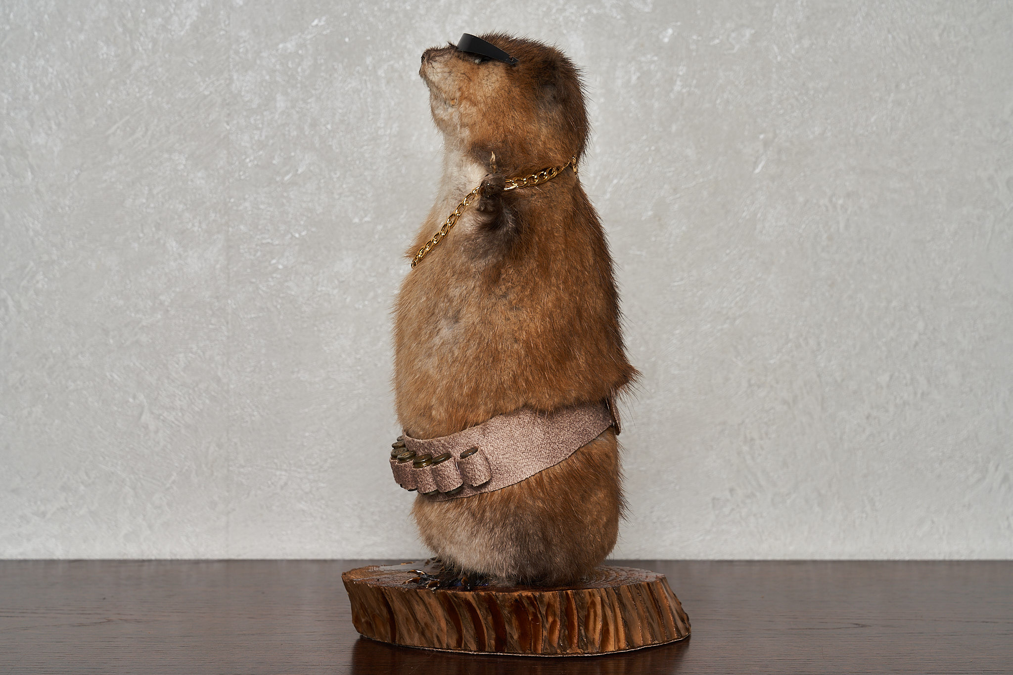 SMALL BEAVER TAXIDERMY MOUNT - MOUNTED, STUFFED ANIMALS FOR SALE - REAL ...