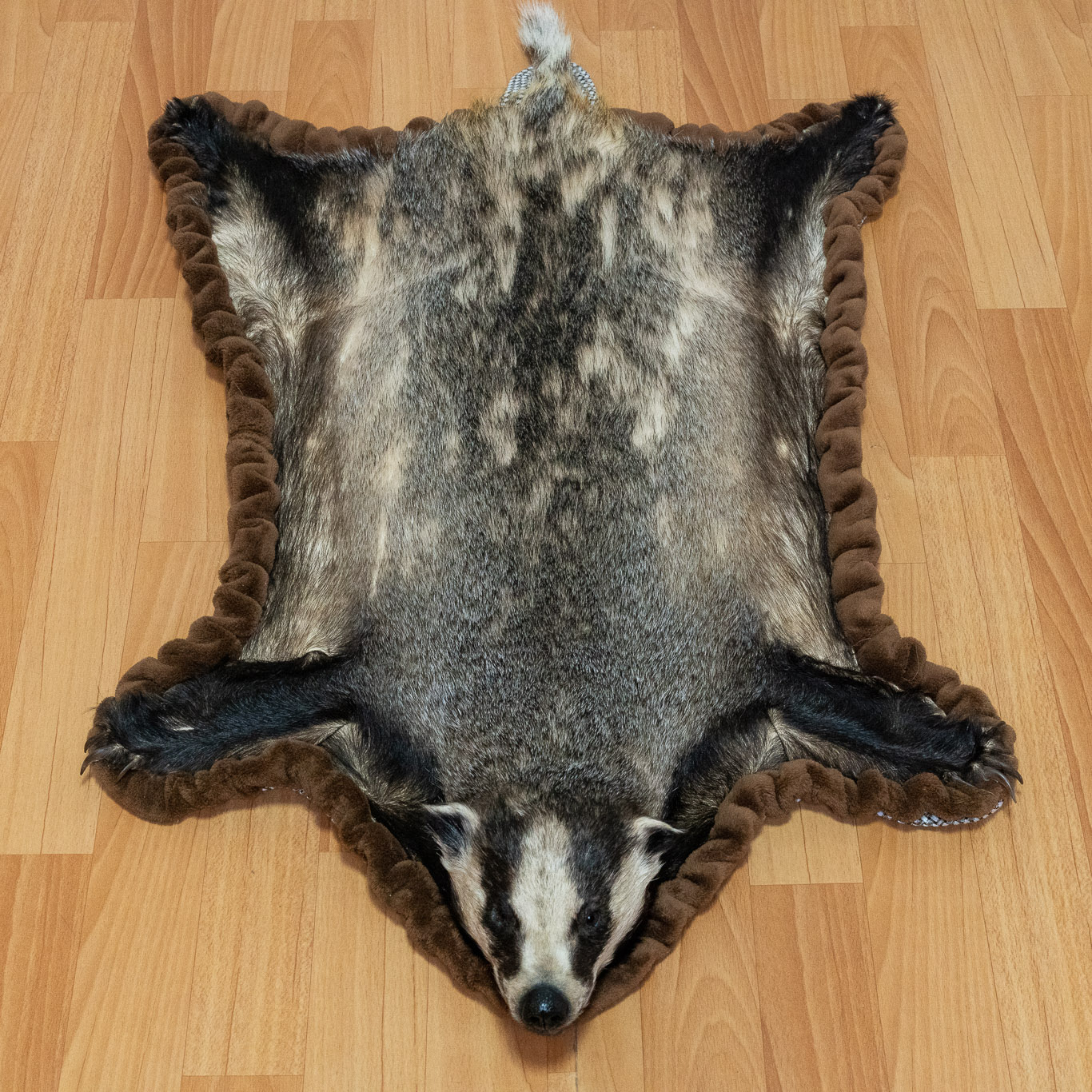 EURASIAN BADGER TAXIDERMY RUG MOUNT WITH HEAD - MOUNTED PELT, FUR, SKIN ...