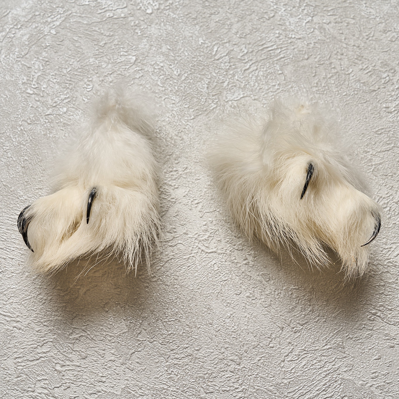 SNOWY OWL TAXIDERMY BIRD FEET PAIR - WHITE OWL TAXIDERMY BIRD LEGS ...