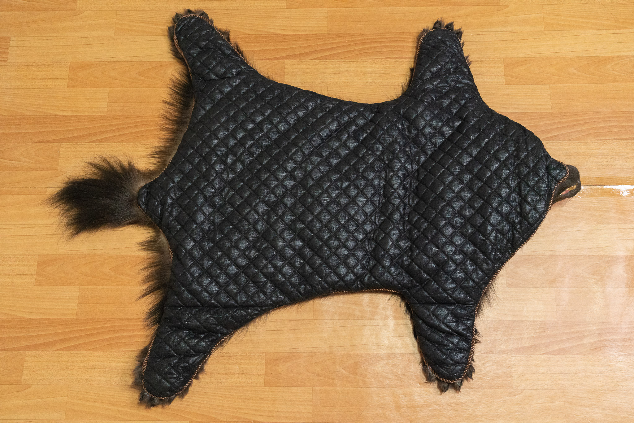 WOLVERINE TAXIDERMY RUG MOUNT WITH HEAD - MOUNTED PELT, FUR, SKIN, HIDE ...