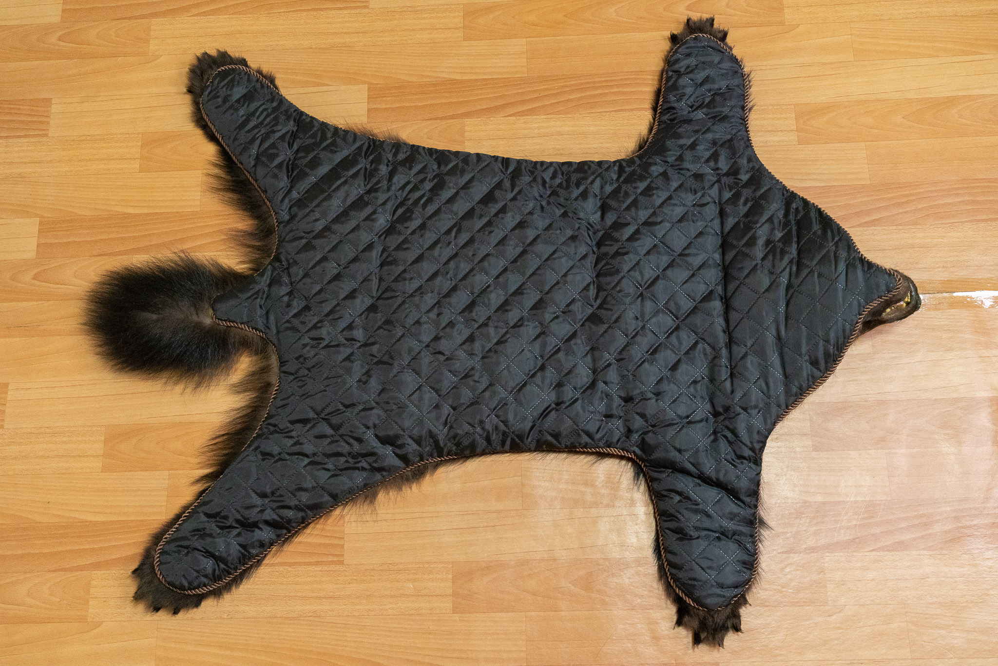 WOLVERINE TAXIDERMY RUG MOUNT WITH HEAD - MOUNTED PELT, FUR, SKIN, HIDE ...
